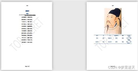 python pypdf2处理pdf文件 pypdf2中文文档 csdn博客