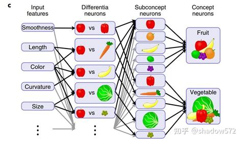 论文笔记Explainable neural networks that simulate reasoning 知乎