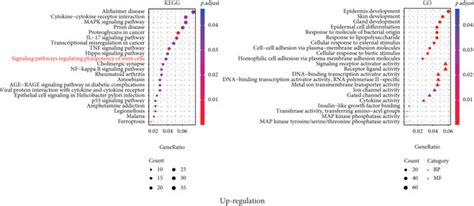 Identification And Functional Enrichment Analysis Of DEGs A PCA