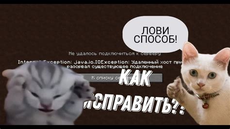 ФИКС ОШИБКИ Internal exception java io IOException Удалённый хост