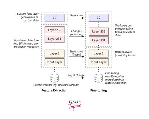Custom Training With TensorFlow Scaler Topics