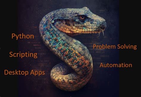 write any python script automation code and desktop applications by abouka144 fiverr