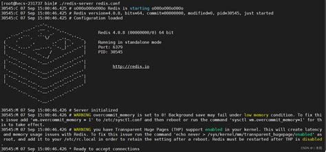linux环境安装redis linux安装redis需要的gcc环境 csdn博客