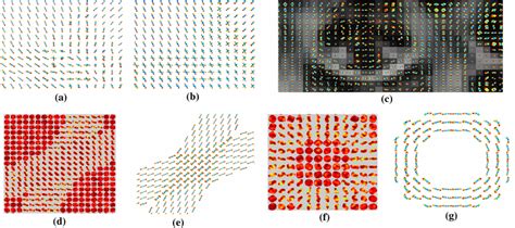 application of spatially regularized spherical deconvolution a b download scientific diagram