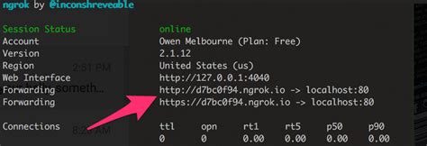node js ngrok retrieve assigned subdomain stack overflow