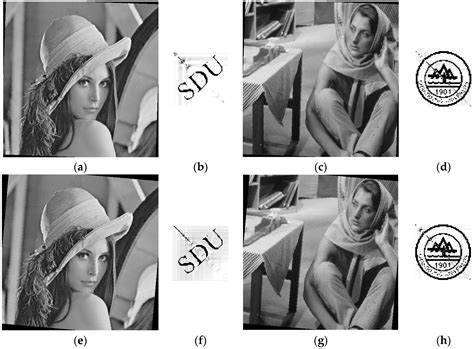 algorithms free full text rst resilient watermarking scheme based on dwt svd and scale