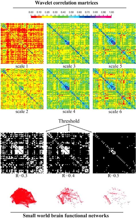 schematic of wavelet correlation analysis thresholding and functional download scientific