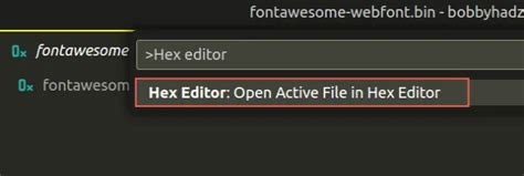 How To View And Edit Binary Files In Visual Studio Code Bobbyhadz