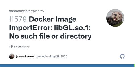 Docker Image ImportError LibGL So 1 No Such File Or Directory Issue