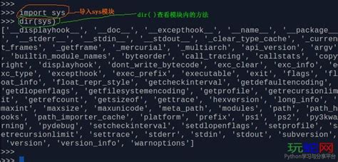 python中dir用法 python dir 内置函数作用及使用方法 csdn博客
