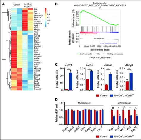 NCoR1 Deletion Changes The Gene Expression Profile A Heat Map