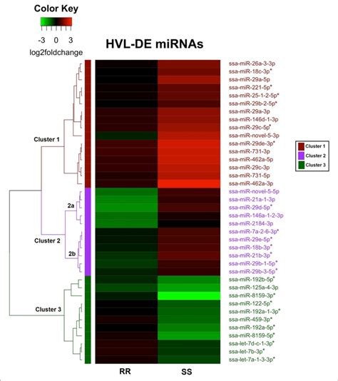Heat Map And Hierarchical Clustering Of The 38 HVL DE MiRNAs Each