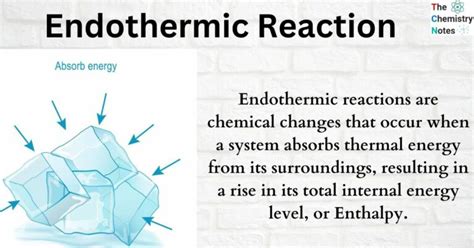Endothermic Reaction With Interesting Examples
