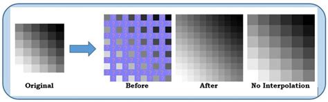two dimensional image interpolation download scientific diagram