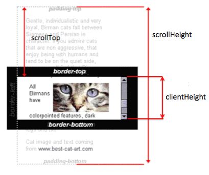 Javascript Scroll To Bottom Of Div Stack Overflow