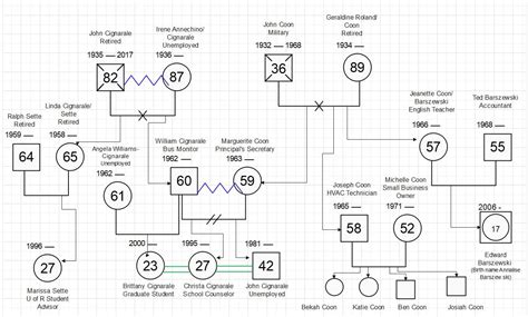 Ten Free Editable Genogram Examples