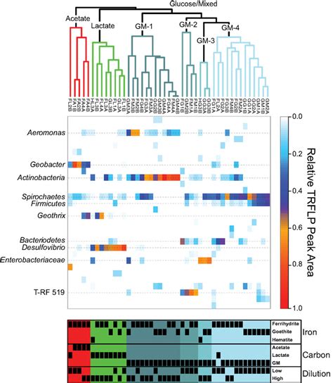 R Heatmap Clusteringdendrogram Valuescolours Stack Overflow