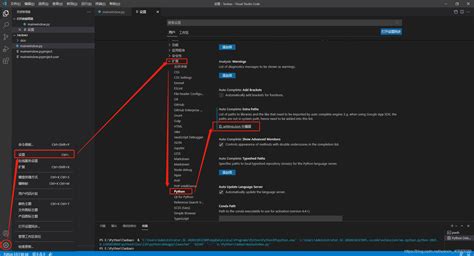 vscode python 第三方库自动补全 第三方库的智能提示 pylance速度慢 csdn博客