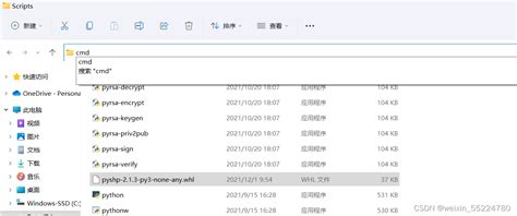 pip离线安装python第三方库（whl文件） pip离线安装whl csdn博客