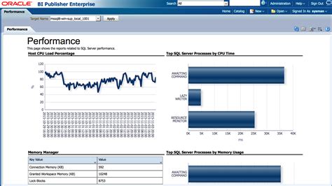 Microsoft SQL Server Reports