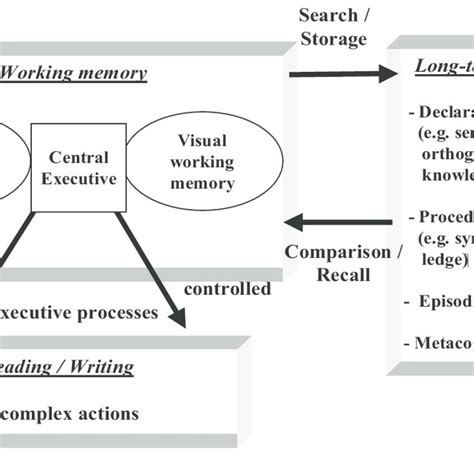 working memory functions during reading and writing witruk 2003 download scientific diagram