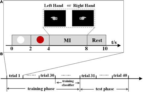 frontiers transformed common spatial pattern for motor imagery based brain computer interfaces