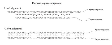 sequence alignment in bioinformatics