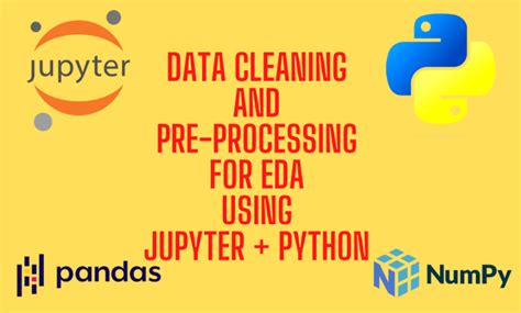 do data cleaning preprocessing using jupyter by pasindubalas822 fiverr