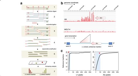 mapping transposable element te insertion sites a a schematic download scientific diagram