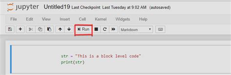 Markdown In Jupyter Notebook