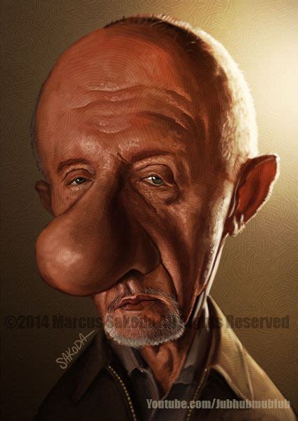 Mike Meme Breaking Bad