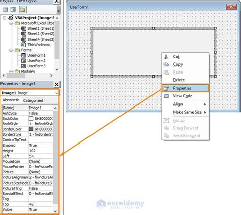 Excel VBA Create A UserForm Image From A Worksheet 3 Examples