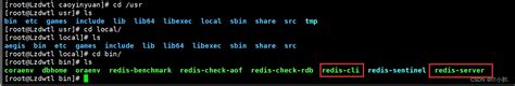 超级详细 的 redis 安装教程 redis安装 csdn博客