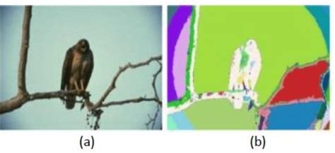 region based segment a original image b the resulting image after download scientific