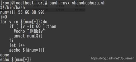 shell脚本：循环语句（for，while until ；函数；数组 shell 脚本 循环数组 csdn博客