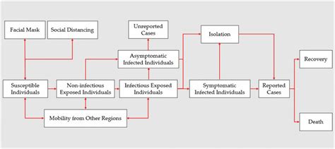 structure of infectious diseases dynamic model download scientific diagram