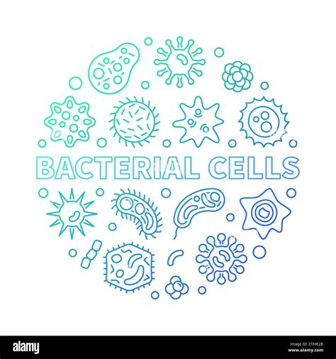 Células bacterianas vector redondo ilustración de contorno colorido