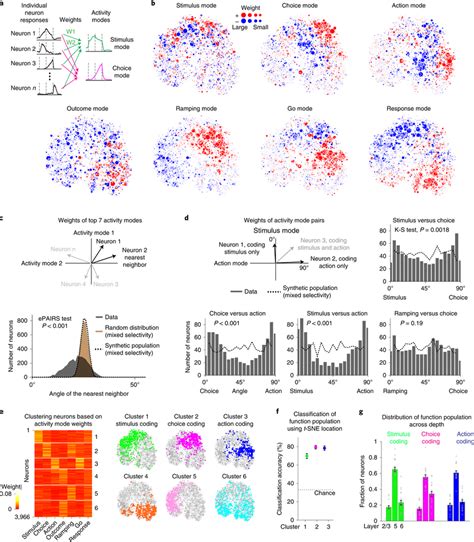 activity modes coding stimulus choice and action are supported by download scientific diagram