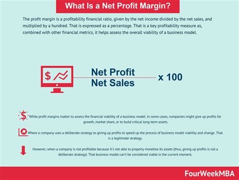 How To Calculate Net Profit Margin Scarlet Has Knapp