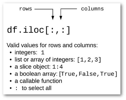 Copy Rows In Dataframe Pandas Webframes Org