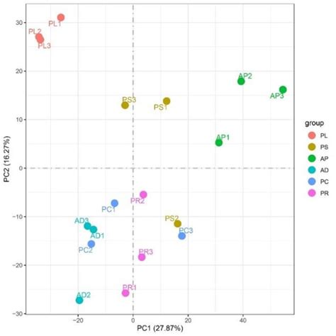 two dimensional pca analysis visualization to measure different host download scientific