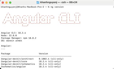 how to check angular version update angular