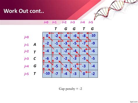 the needleman wunsch algorithm for sequence alignment