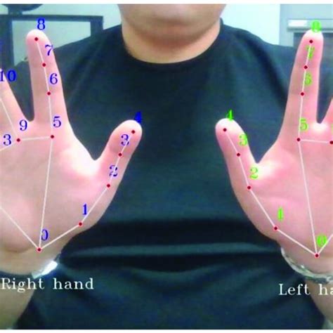 Two Handed Recognition Scheme Using MediaPipe Holistic API Hand