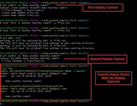 How To Undo Pushed Commits In Git With Reset And Revert Delft Stack