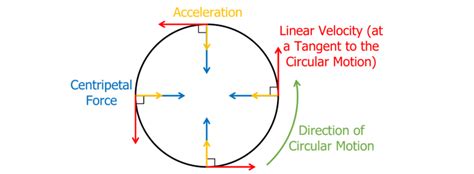 Circular Motion Worksheets Questions And Revision MME