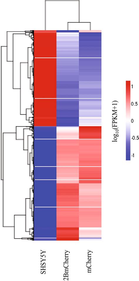 Heatmap Generated By Unsupervised Hierarchical Cluste