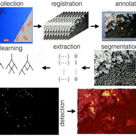 slic simple linear iterative clustering superpixel segmentation is download scientific