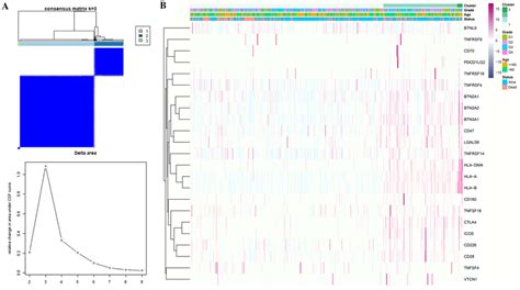 a the consensus clustering matrix k 3 was used to divide 374 hcc download scientific