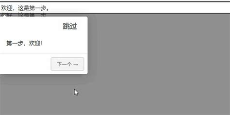 Vue Intro轻松实现前端新手引导效果 知乎